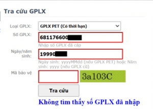 Hướng dẫn Tra cứu GPLX trực tuyến tại Website Tổng Cục Đường Bộ Việt ...