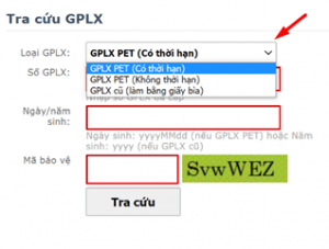 Hướng dẫn Tra cứu GPLX trực tuyến tại Website Tổng Cục Đường Bộ Việt ...